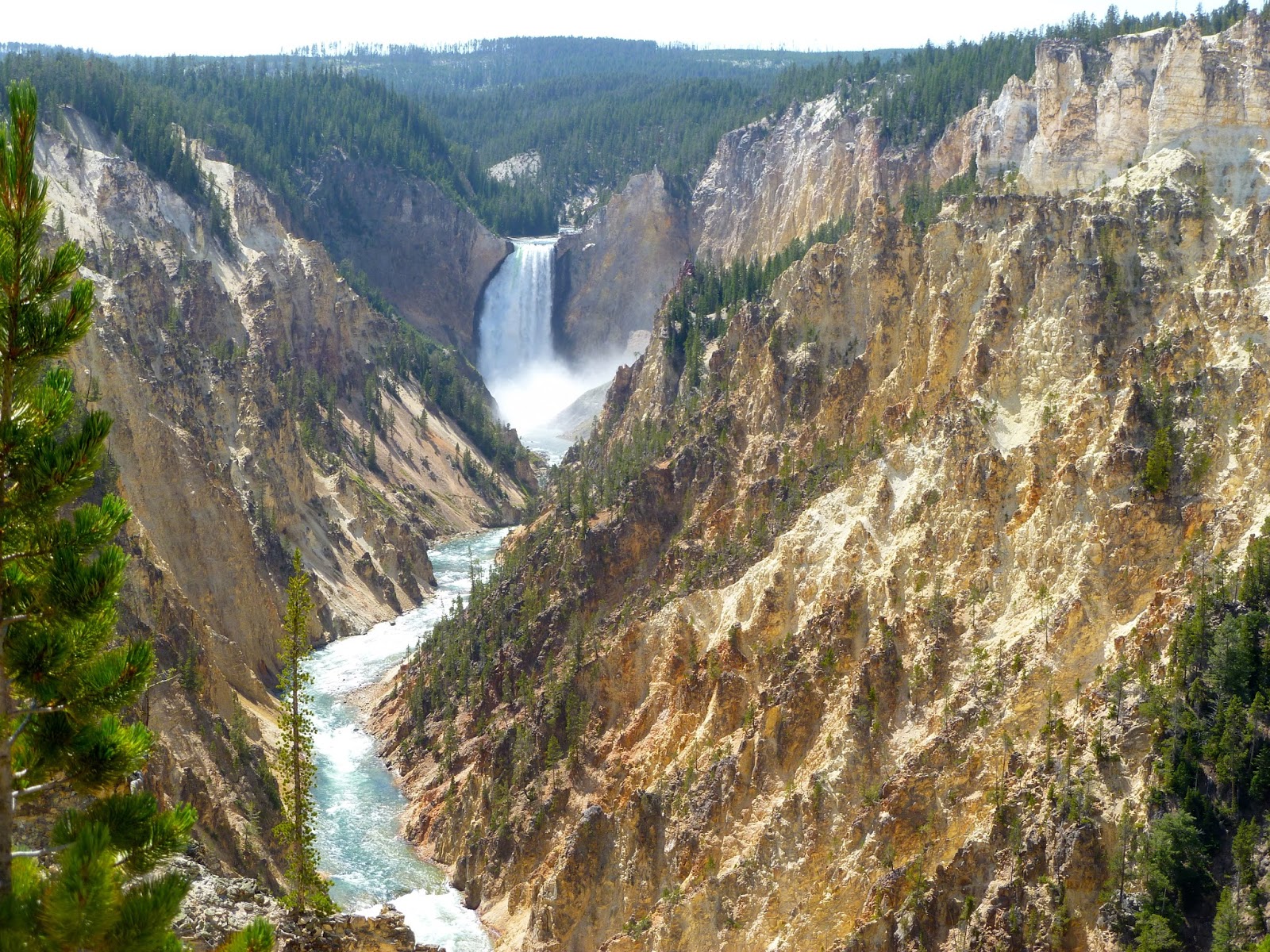 The Grand Canyon of Yellowstone
