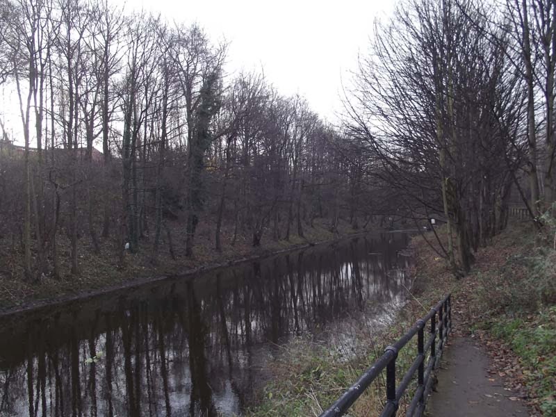 Forgotten Tracks: Five Weirs Walk: Sheffield