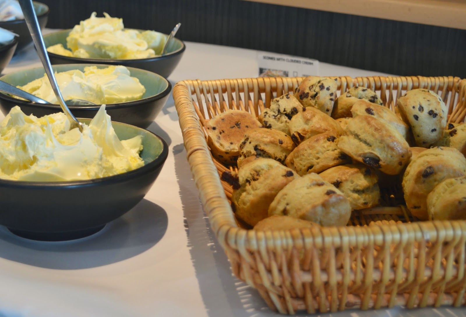 All Aboard! DFDS Seaways 20th Anniversary | New Girl in Toon