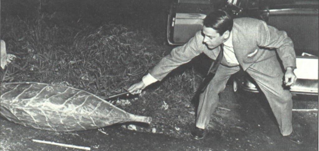 Montana Roué: COCOON