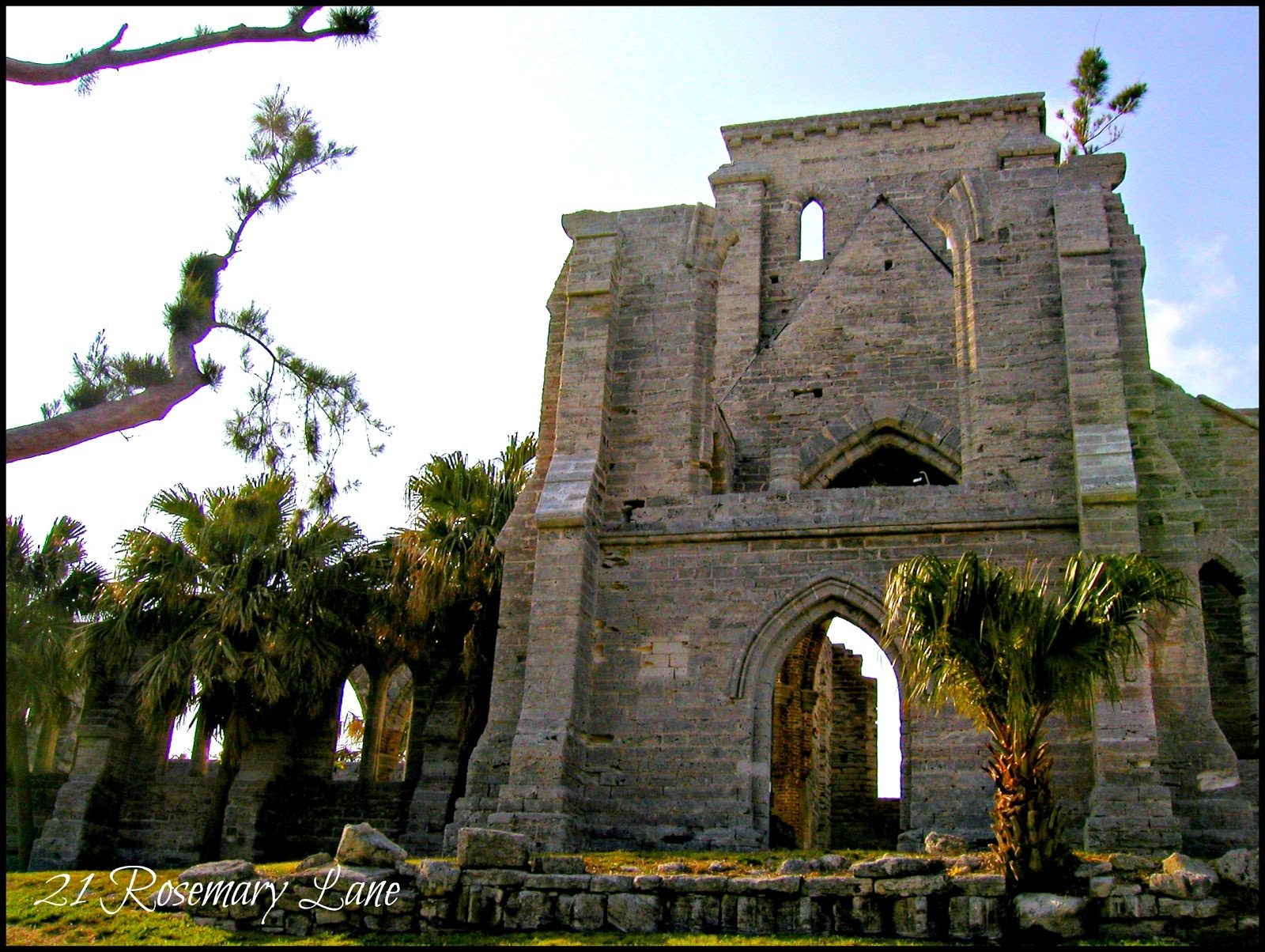 21 Rosemary Lane: Chasing Away the Winter Blues