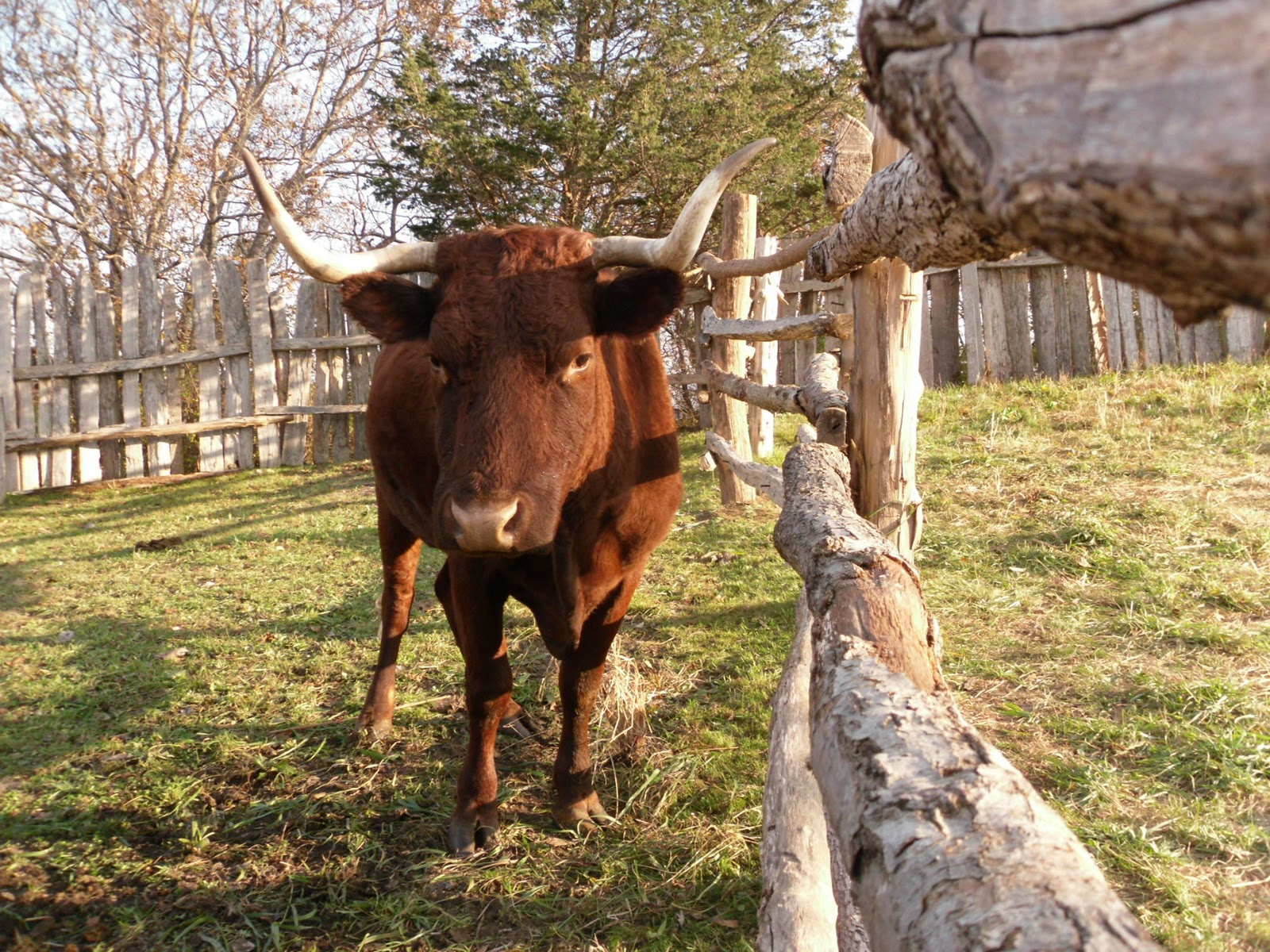 Vegging for Health: [113] Plimoth Plantation