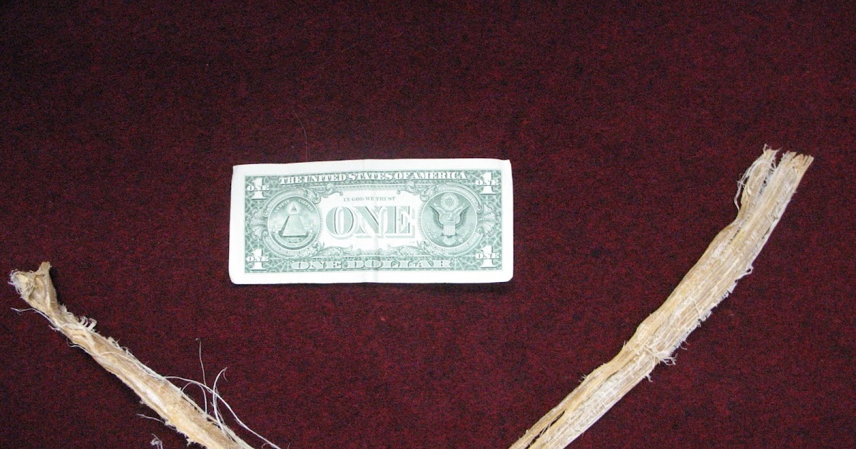 Sensible Survival: How to Sew with Real Sinew