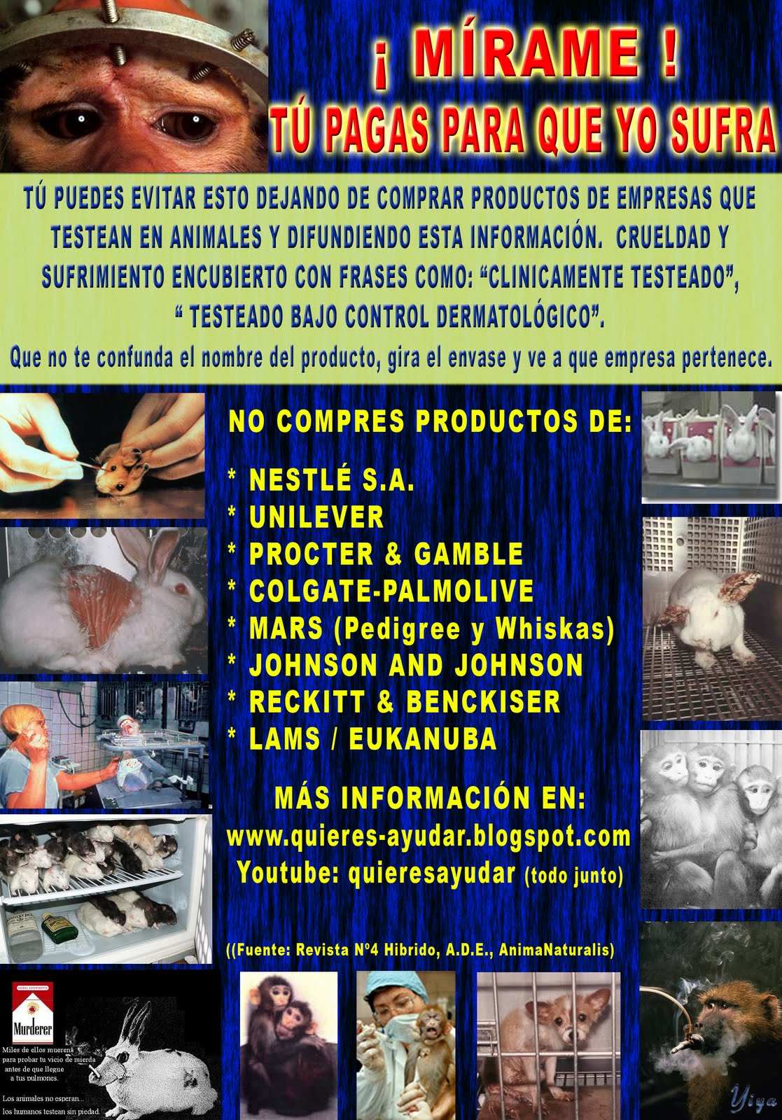 мi мυחdo cαυtivo: ¿QUÉ ES EL TESTEO ANIMAL?