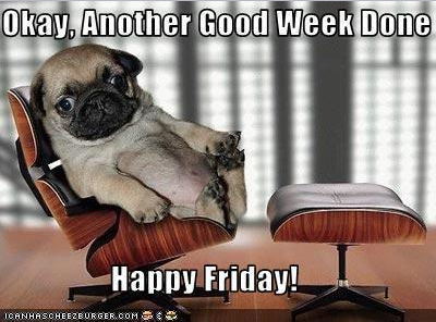 Alpha Wolf Capital : Noa has arrived Its Friday Baby!!