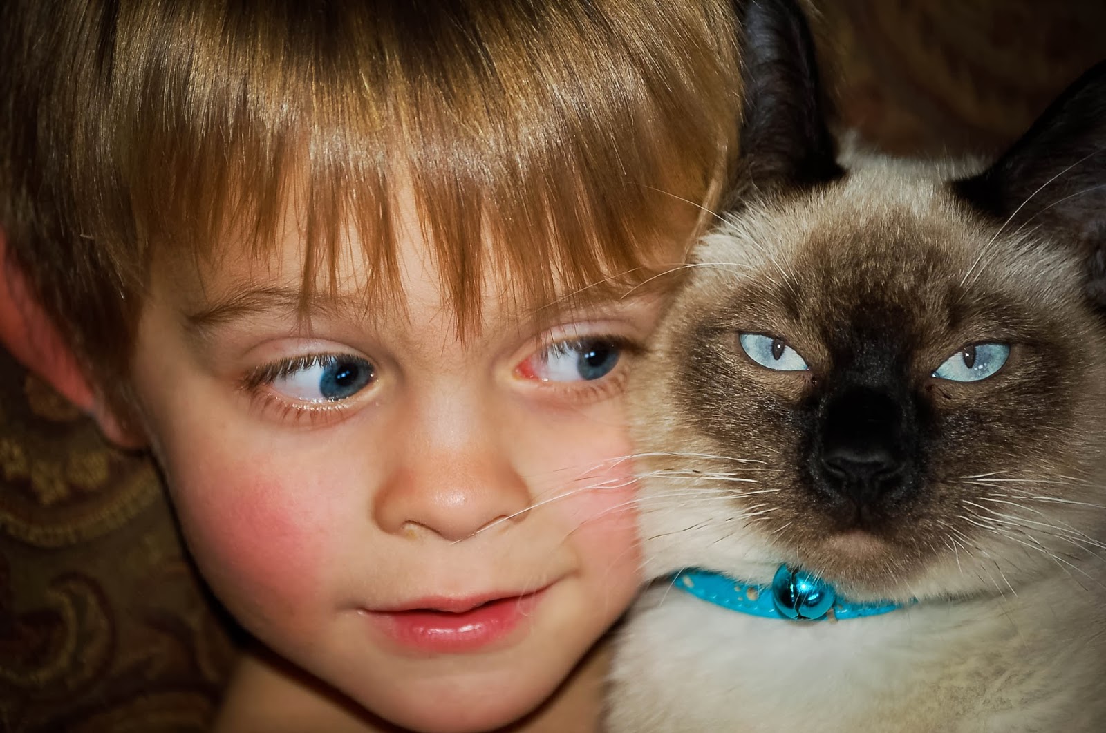 The Buddy Bee Makes Three