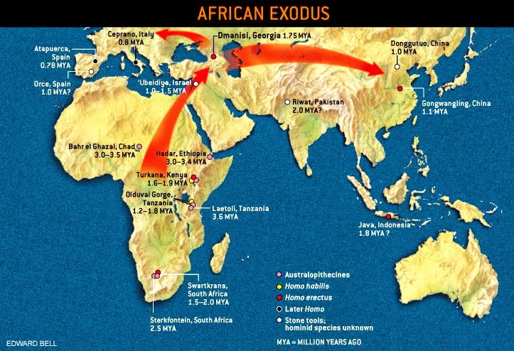 o pintorlopes : CRÂNIO DE DMANISI