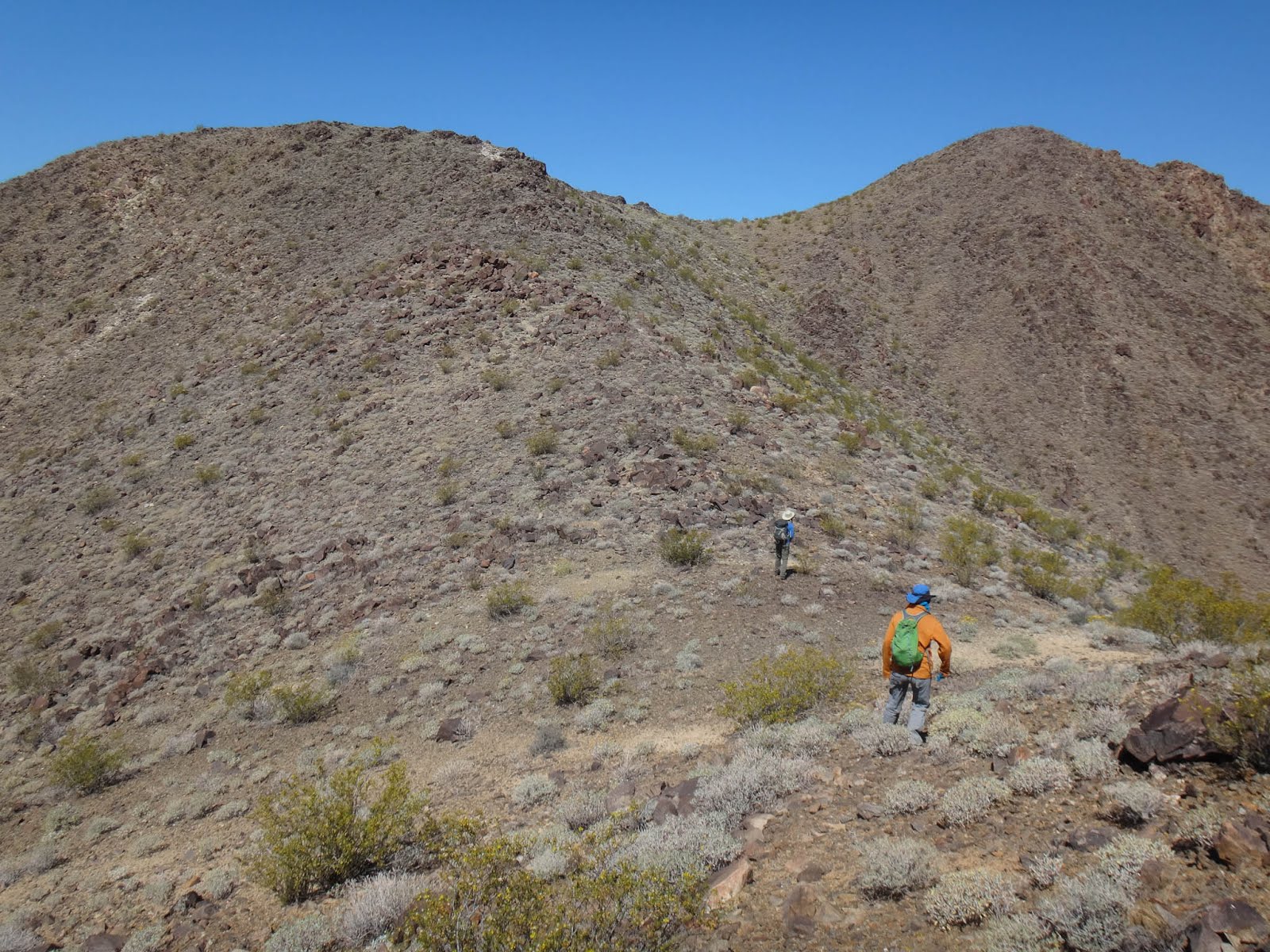 Clipper Mountain Near Essex - First Church of The Masochist