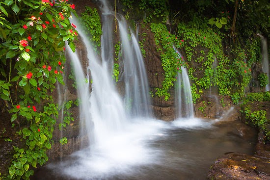 Beautiful Nature Images: Waterfall With Flowers | Beautiful Nature And ...