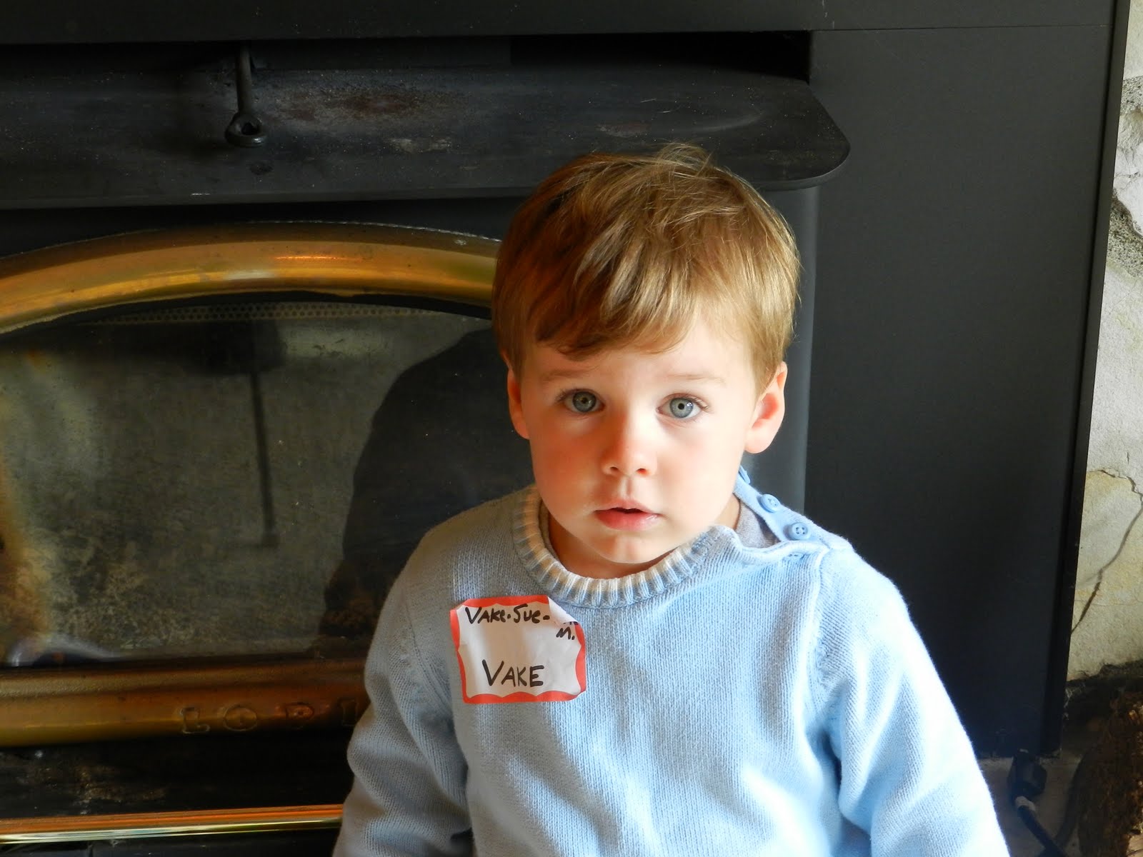 The Sampson Family: The Vake Sampson Line