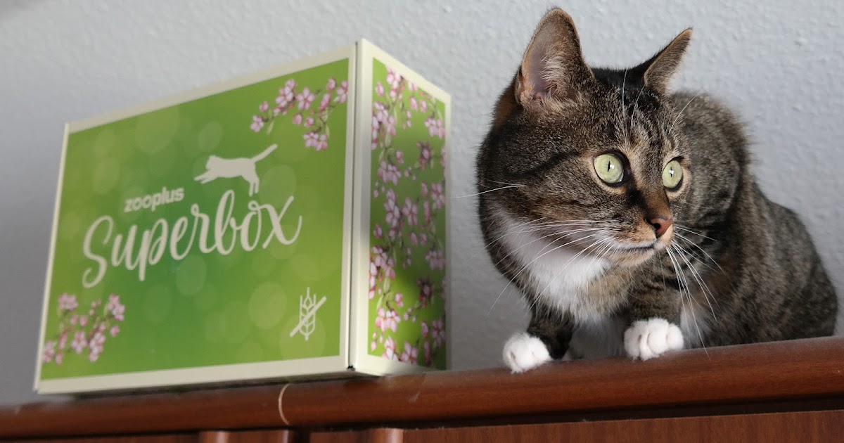 Nicht noch ein weiterer Bücherblog...: Unboxing | Zooplus Superbox für ...