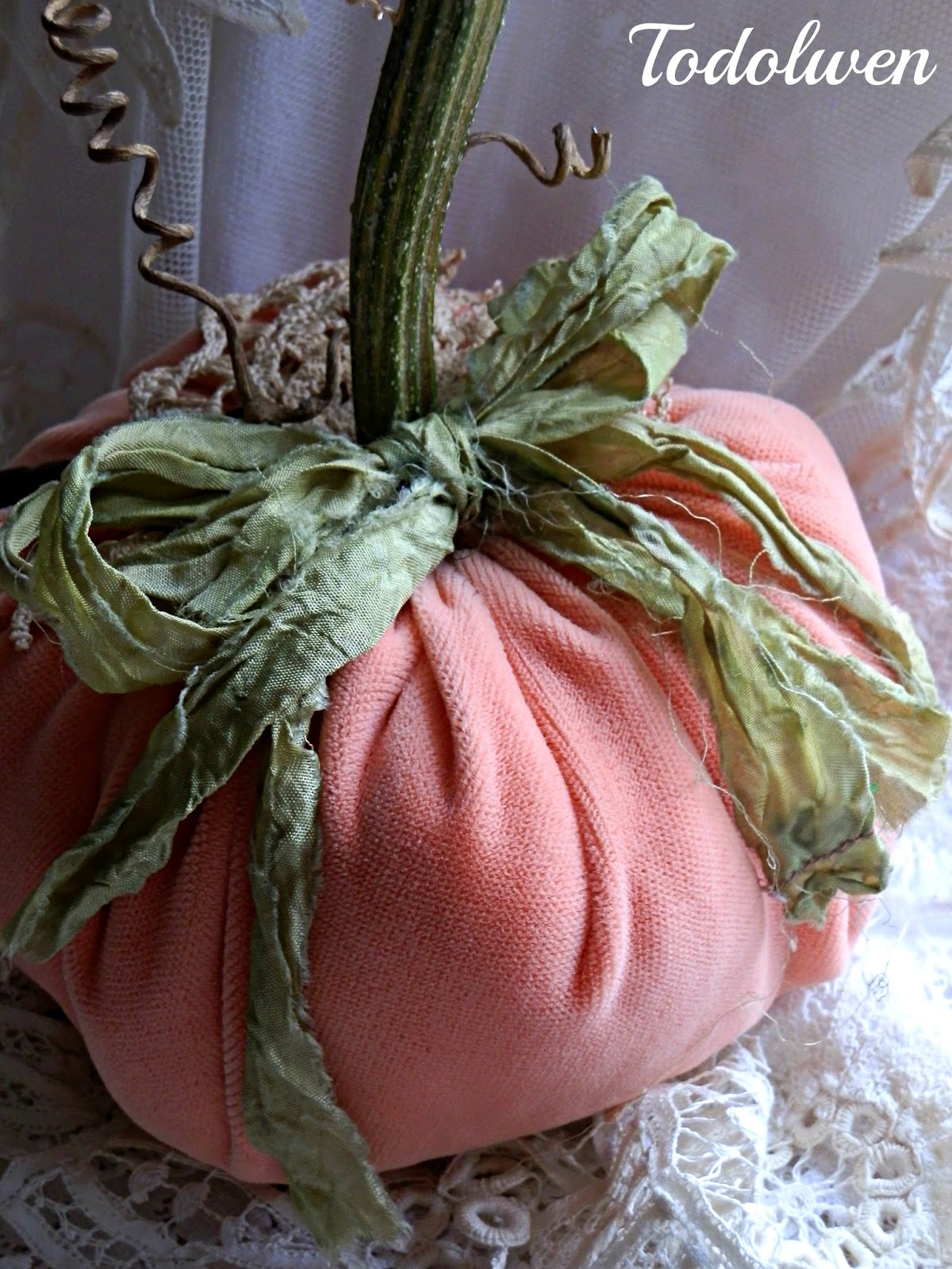 Todolwen: My First Velvet Pumpkin ~ Ever