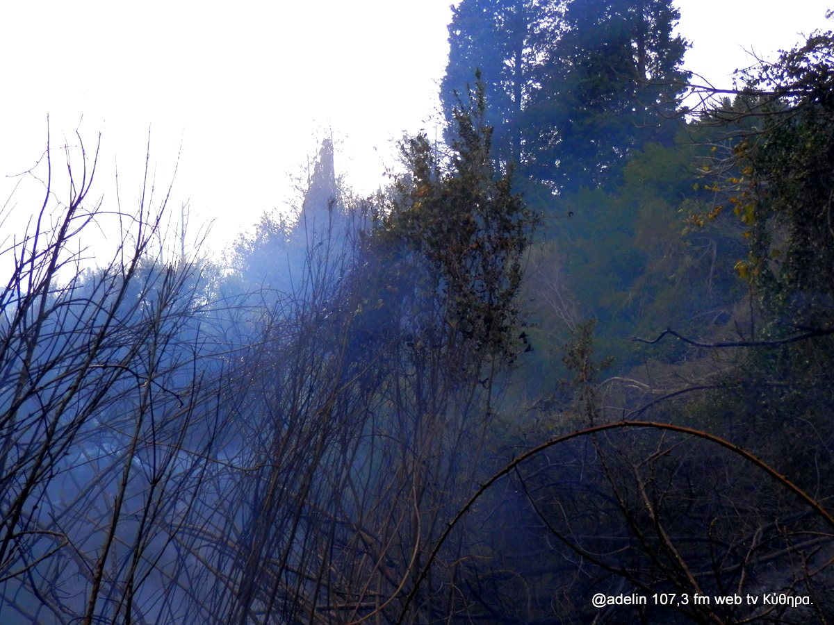 AdelinFM Kythira : ΠΥΡΚΑΓΙΑ ΣΤΟ ΚΑΤΑΧΕΙΜΩΝΟ ΣΤΗΝ ΠΕΡΙΟΧΗ ΤΩΝ ΜΗΤΑΤΩΝ