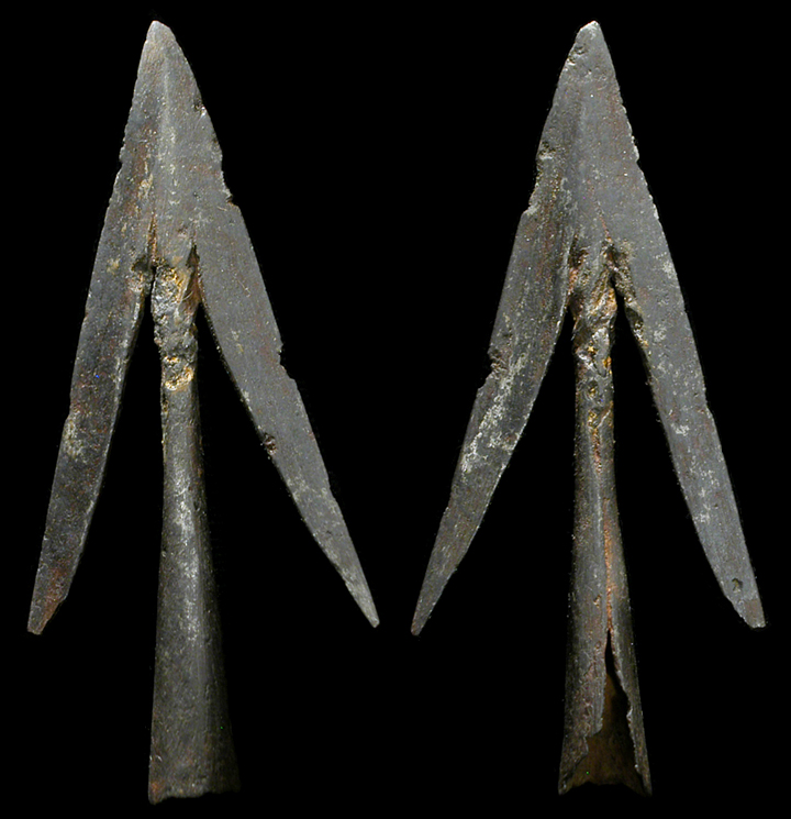 GREX LUPORUM: MEDIEVAL ARROWHEADS DATABASE