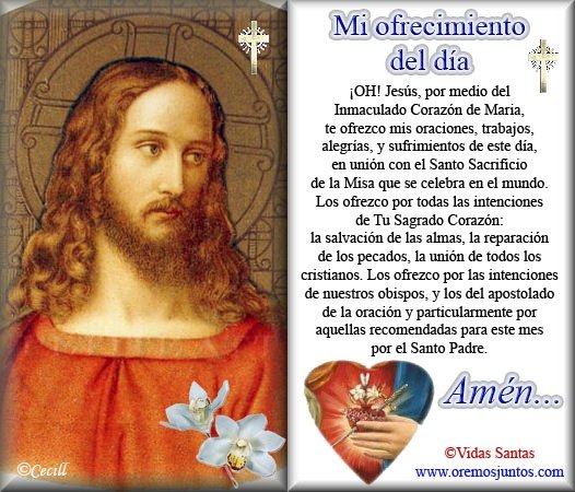 ® Santoral Católico ®: ORACIONES AL SAGRADO CORAZON DE JESUS