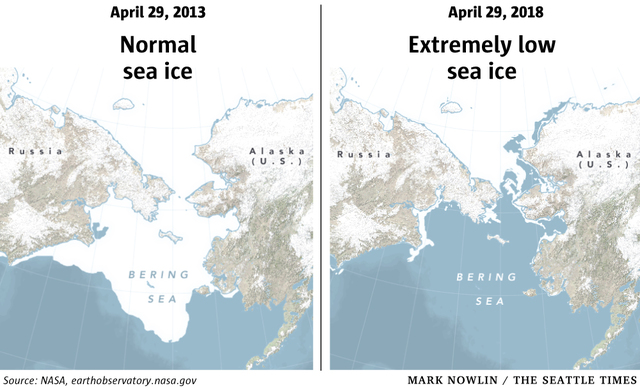 Seemorerocks: Record-shattering decline in Bering Sea ice