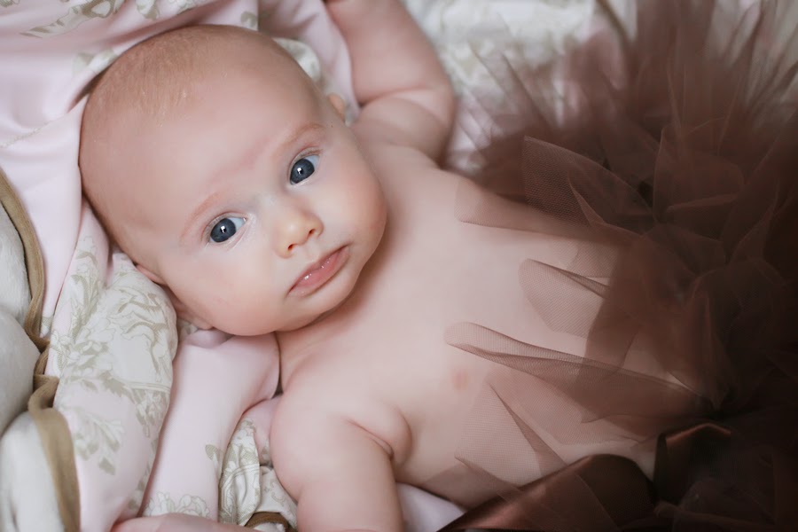 Andrea Finnegan Photography