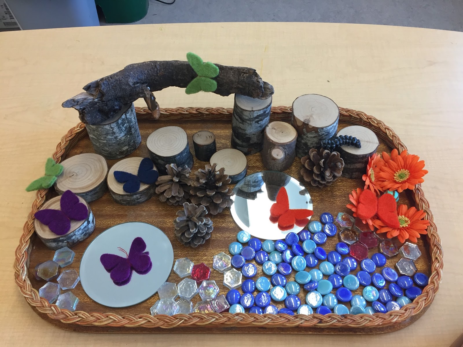 Butterfly Provocation | Nature Play On Vancouver Island