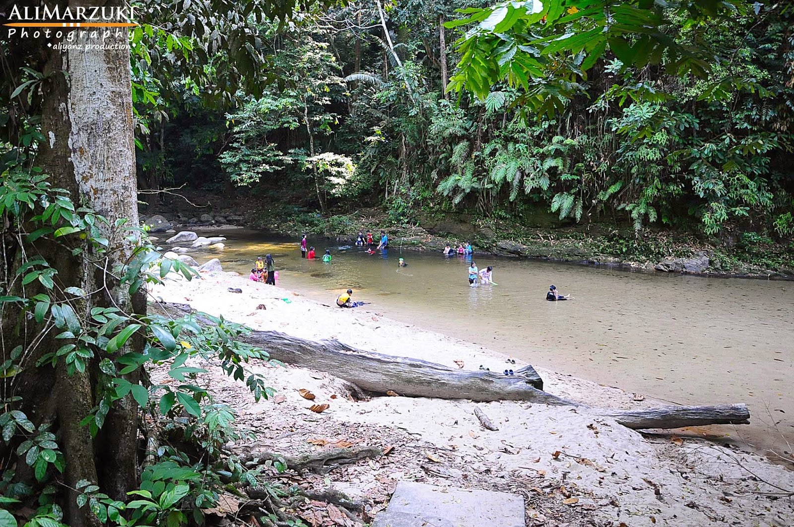 Ali Pancing: Jom Jalan - HUTAN LIPUR KUALA WOH, TAPAH, PERAK