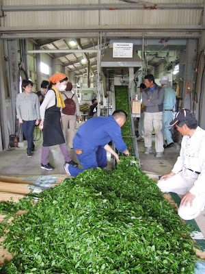 Tales of Japanese tea: Sencha producing process