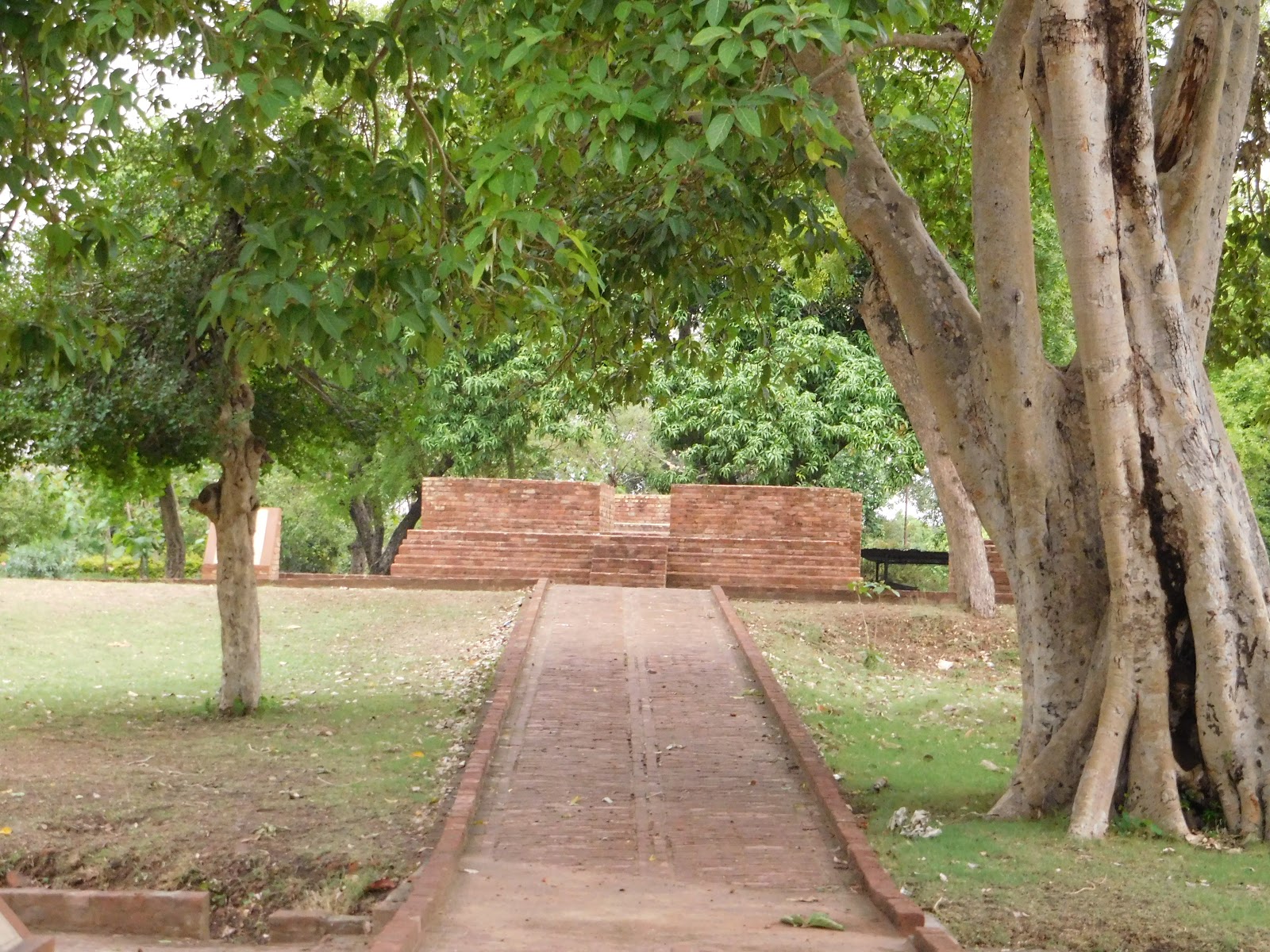 TONY DHARMA: Jetavana, the second monastery in the Buddha's time