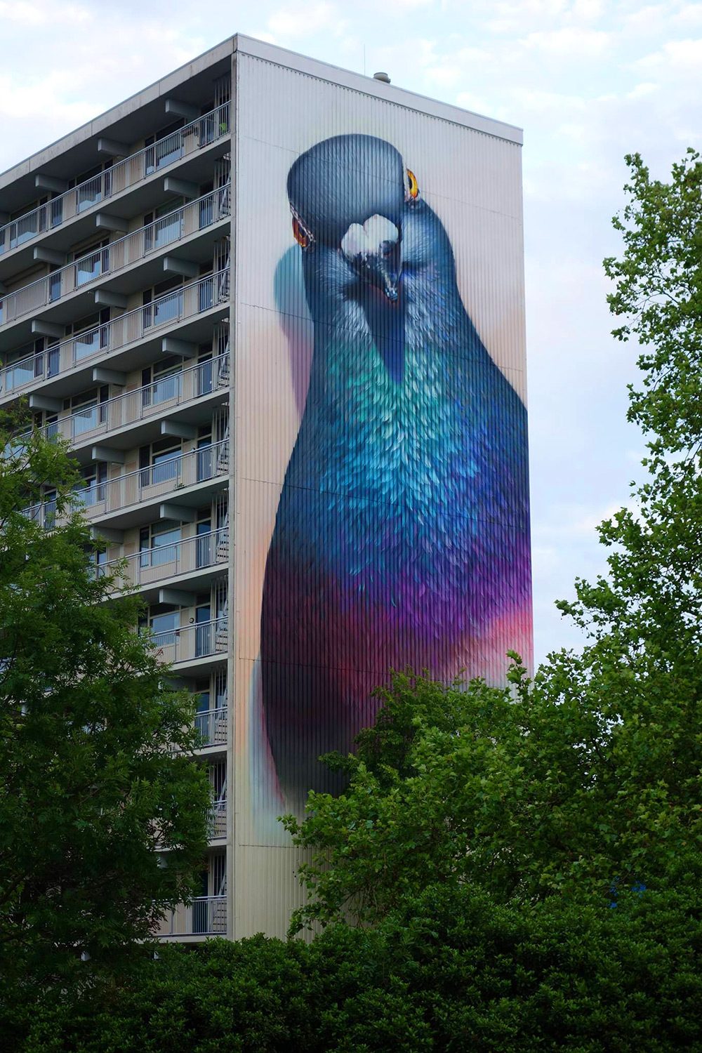Dutch Artist's Murals Are For The Birds