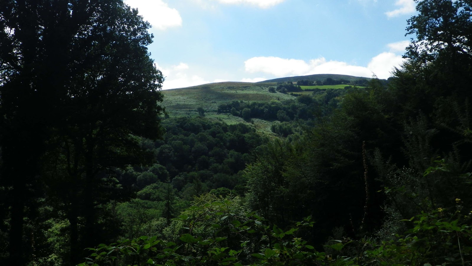 My Dartmoor Walks: Tuesday 3rd September The Templar Way