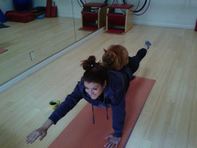 SOULFUL HEALTHY LIVING: KATE WALSH DEFIES HER 45 YEARS WITH REGULAR PILATES