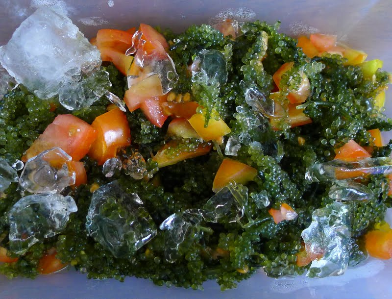 adventures in sustainability: A Simple Bisaya Vegetarian Lunch