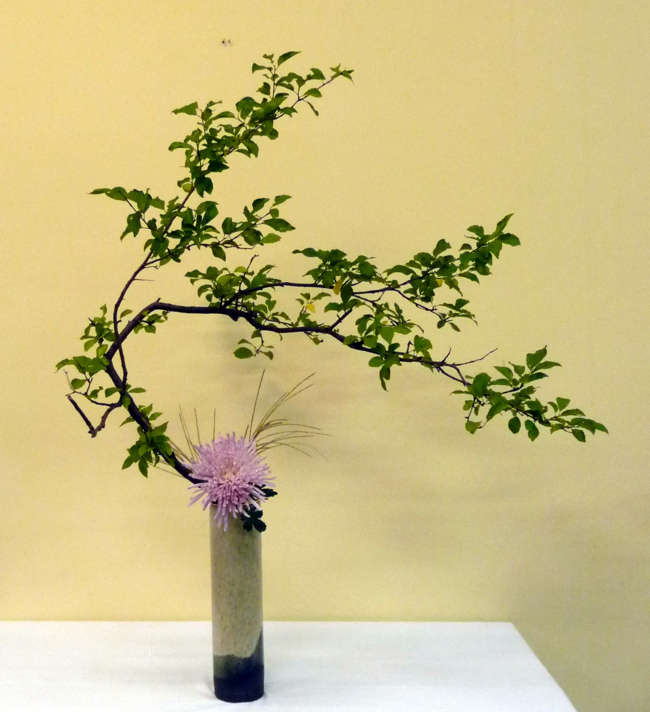 Kadō - der Blumenweg: Übungsabend mit Nageire - wieder einmal ....