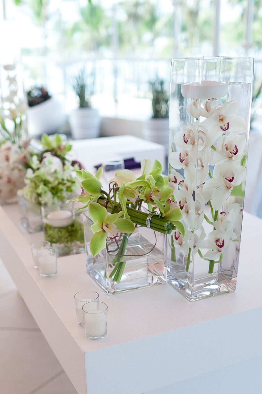 Momentus Special Events and More: Sara & Joe Honaker