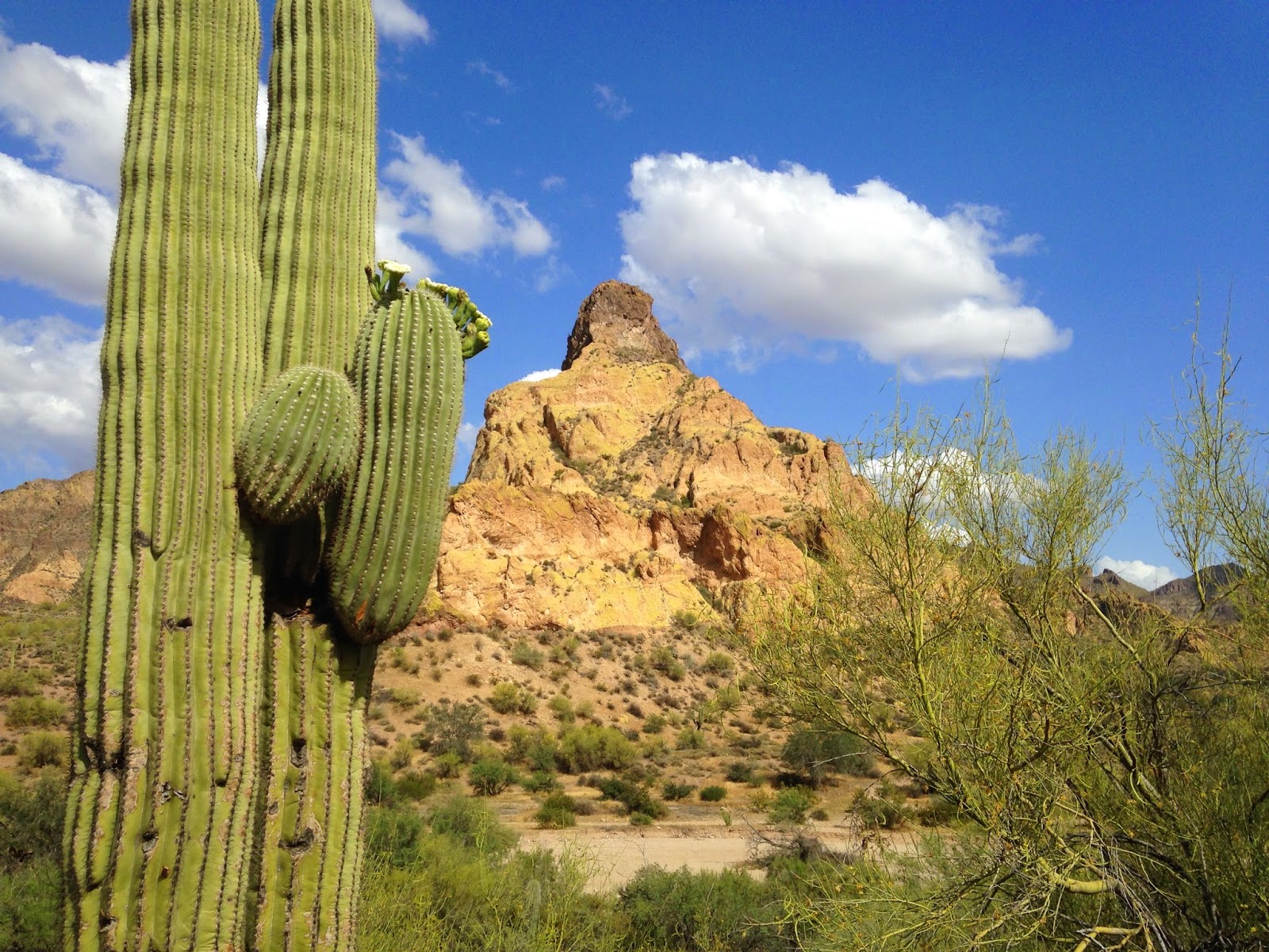Arizona's Bulldog Canyon 4x4 Jeep Trail | Truck Camper Adventure