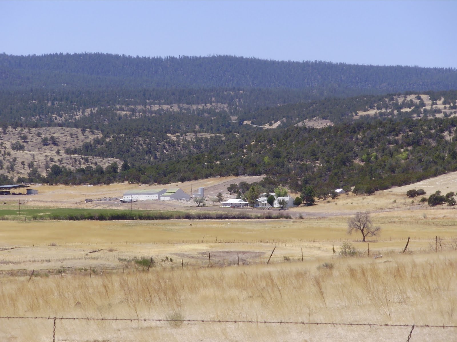 Big Lake, Saffel Canyon Trail & 26 Bar Ranch...