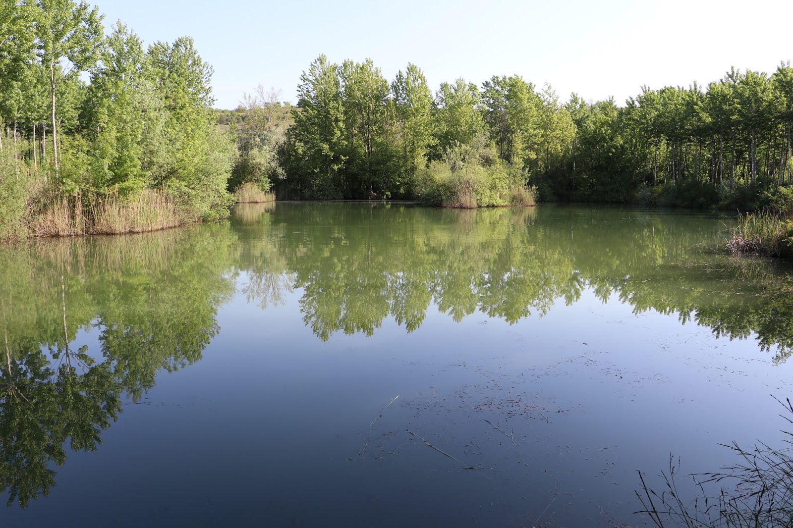 OltreCoscienza andrea nicola: Parco delle Mucille a Selz (Ronchi dei ...