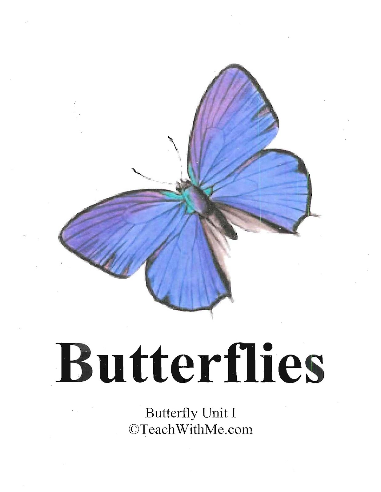 Classroom Freebies Too Butterfly Unit classroom-freebies-too-butterfly-unit