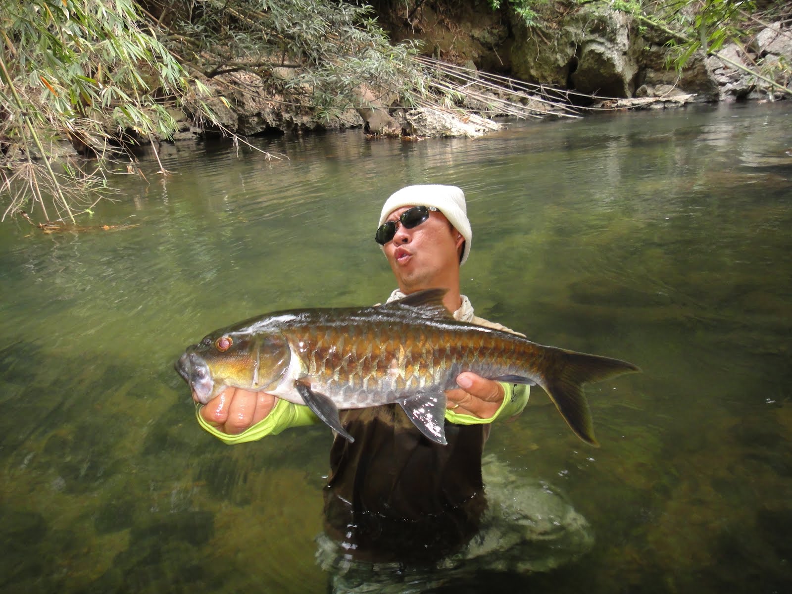 Thailand Giant Snakehead (Toman) And Wild Fishing.: The Golden Thai ...