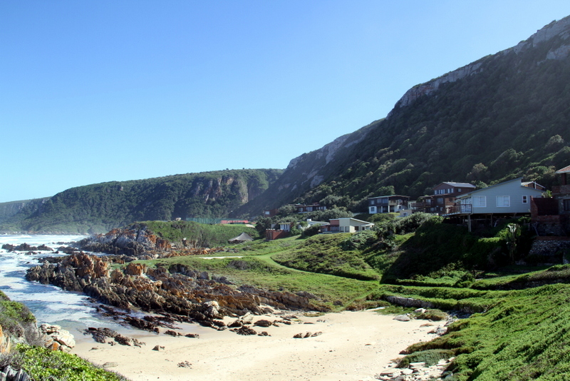 Under our own olive tree: Oubos