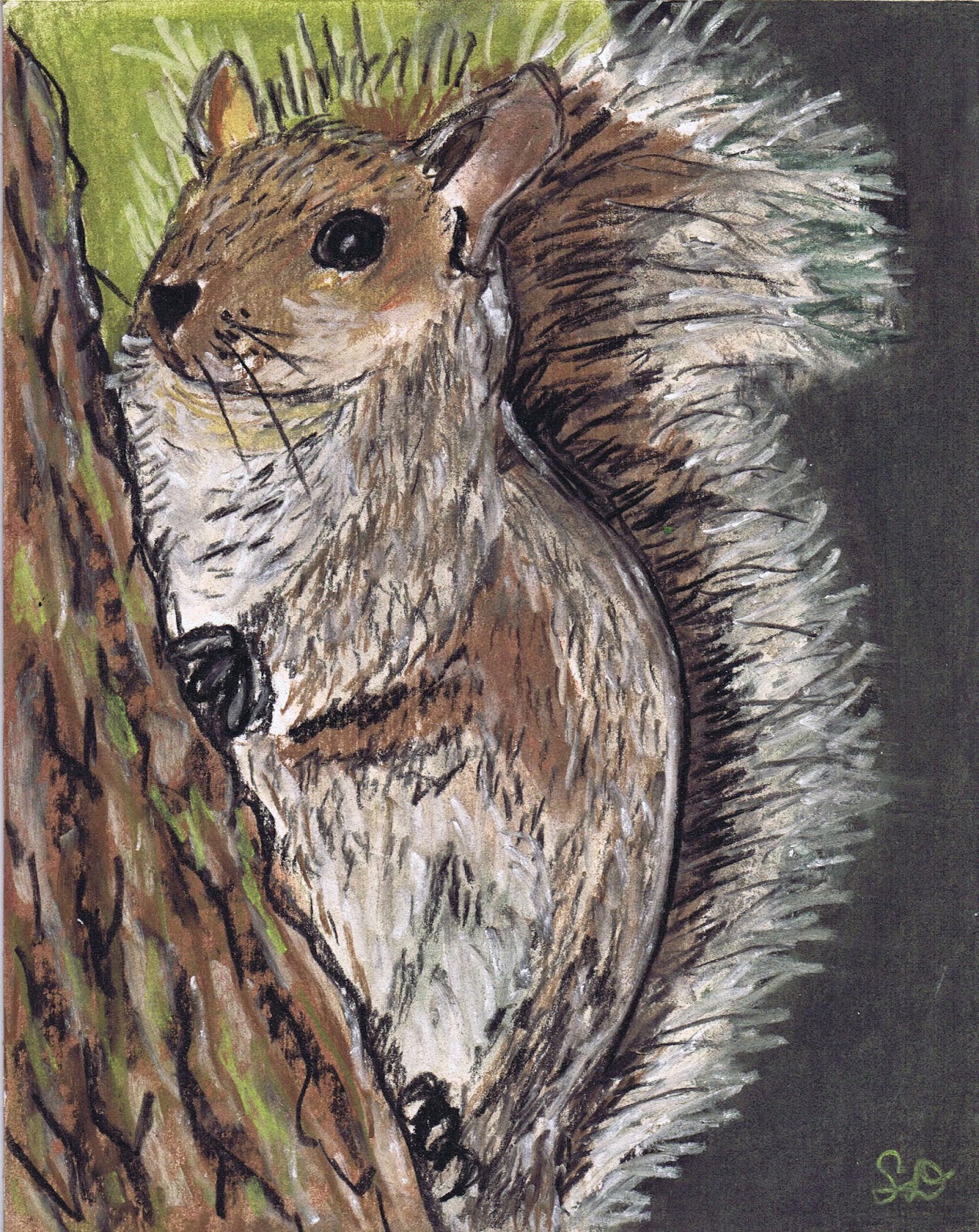The Blog of SamDoum Art by SamDoum: Squirrel Climbing Tree