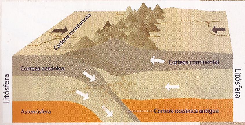 Ciencias de la Tierra (geología - geografía): El ciclo de WILSON