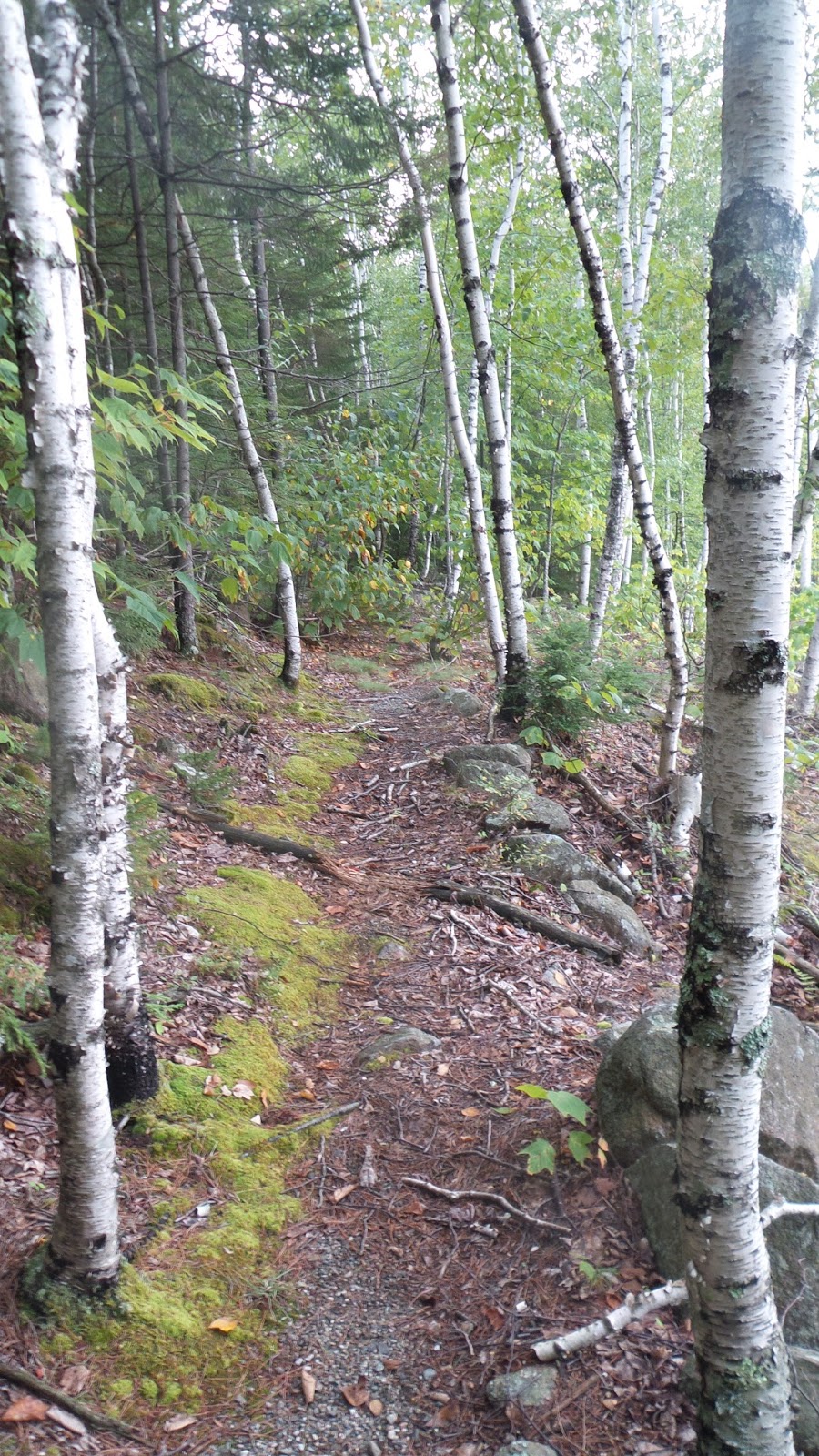 ABANDONED TRAILS OF ACADIA NATIONAL PARK: LOST GEORGE B. DORR BICYCLE PATH
