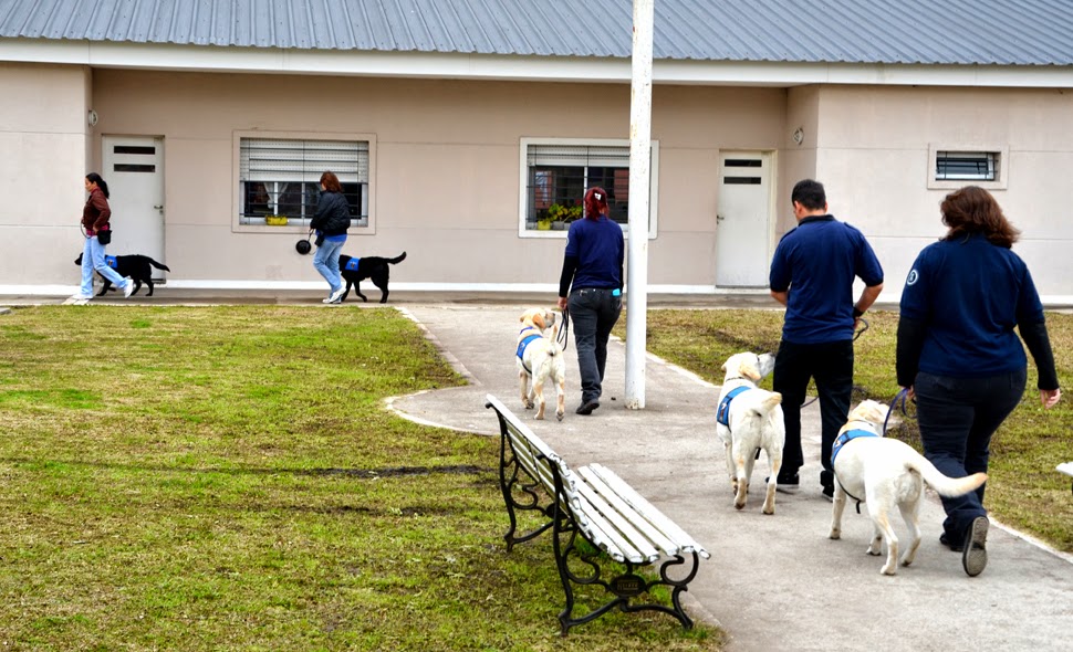 PRISON DOG PROGRAMS ~ BRIDGES and PATHWAYS of COURAGE: Sister Pauline's ...