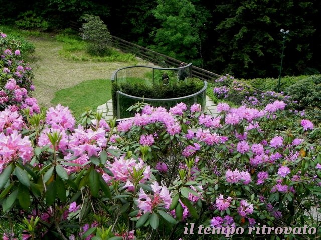 Il tempo ritrovato: Oasi Zegna / La Conca dei Rododendri