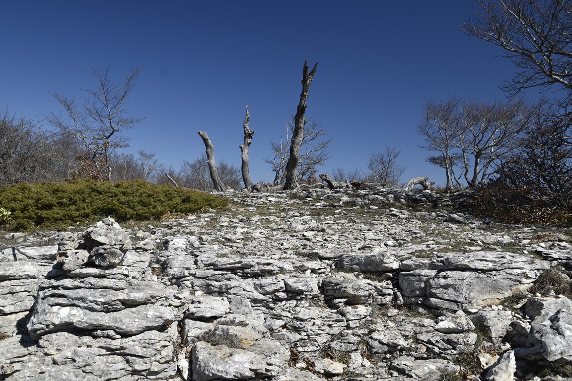 Mendiko osterak: Arnaba zirkularra Gastiain herritik