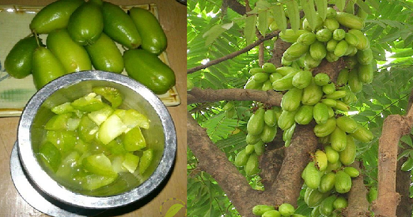 7 Proven Health Benefits of Kamias – No.5 Will Surely Surprise You ...