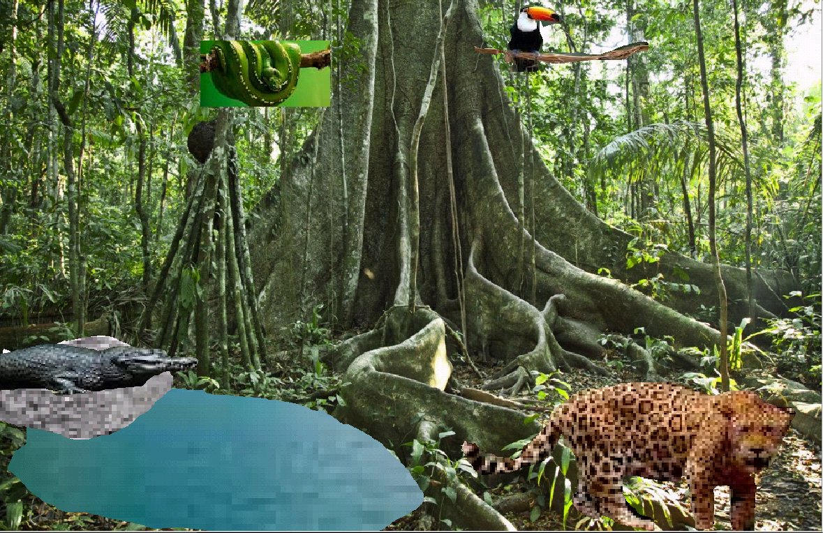 ESCUELA N°94 PAYSANDU: Creando collage digitales