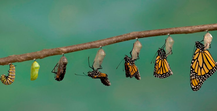 Lo que puede facilitar un proceso de transformación