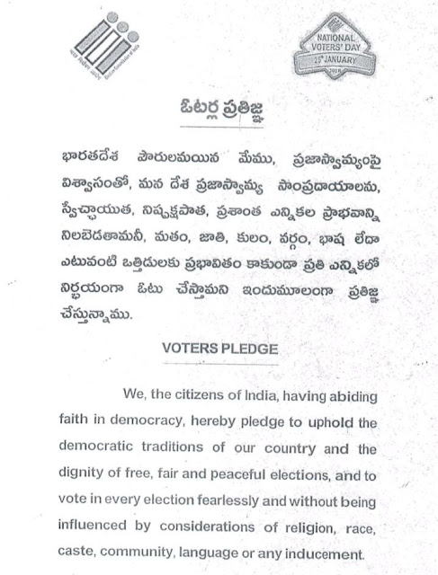 National Voters Day - 25th January - Pledge and Pluck Cards - Leading ...
