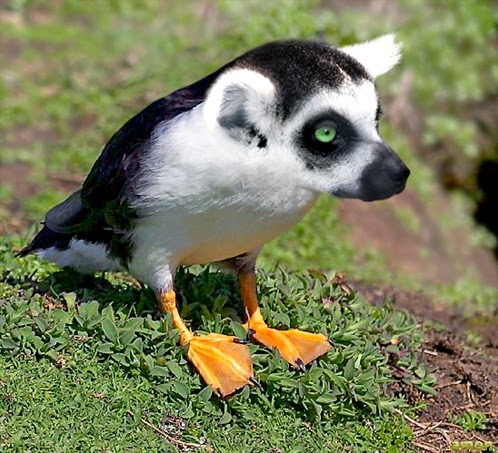 Gradina zoologică din Cernobil. Animale postapocaliptice | Imaginarium