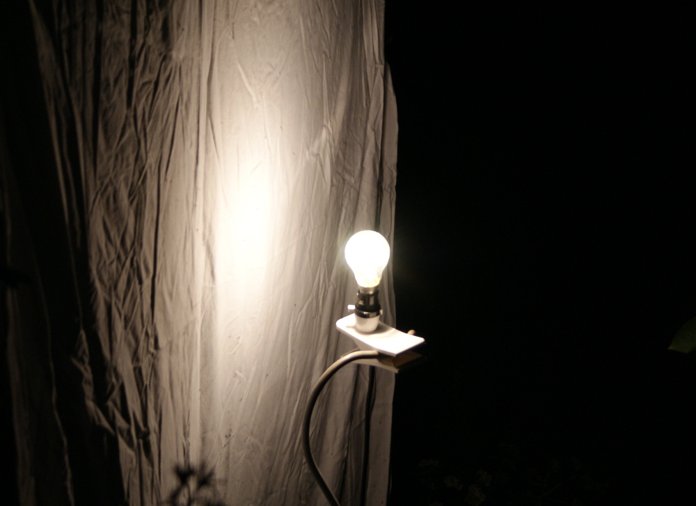 The Shed And Beyond: Homemade moth trap...