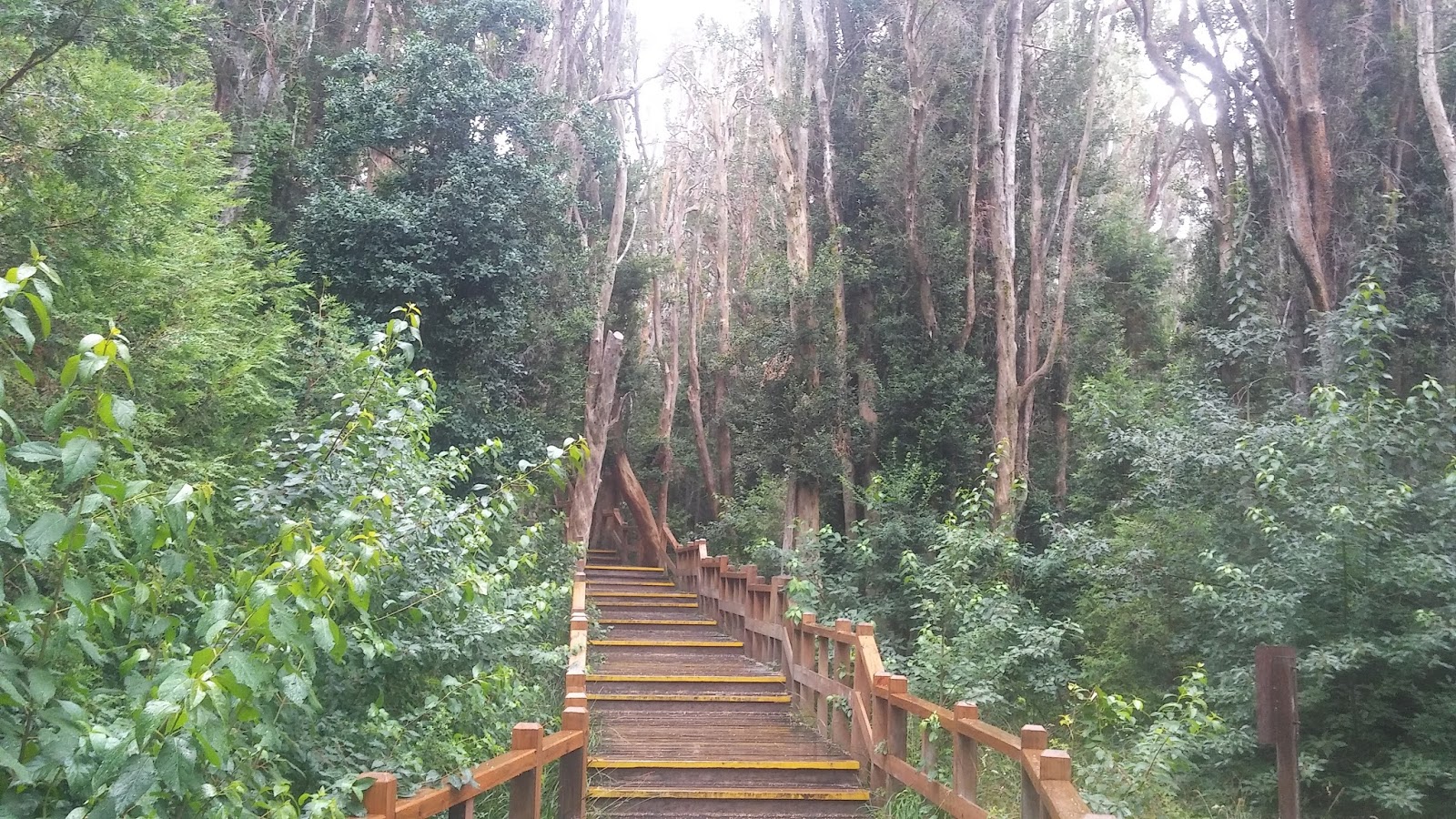 Conoce El Parque Nacional los Arrayanes" .. Te Asombraras!!